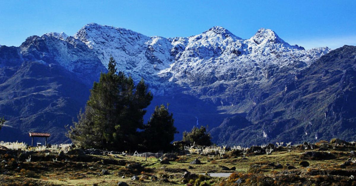 Especialistas en turismo recomiendan Mérida como destino para iniciar 2024