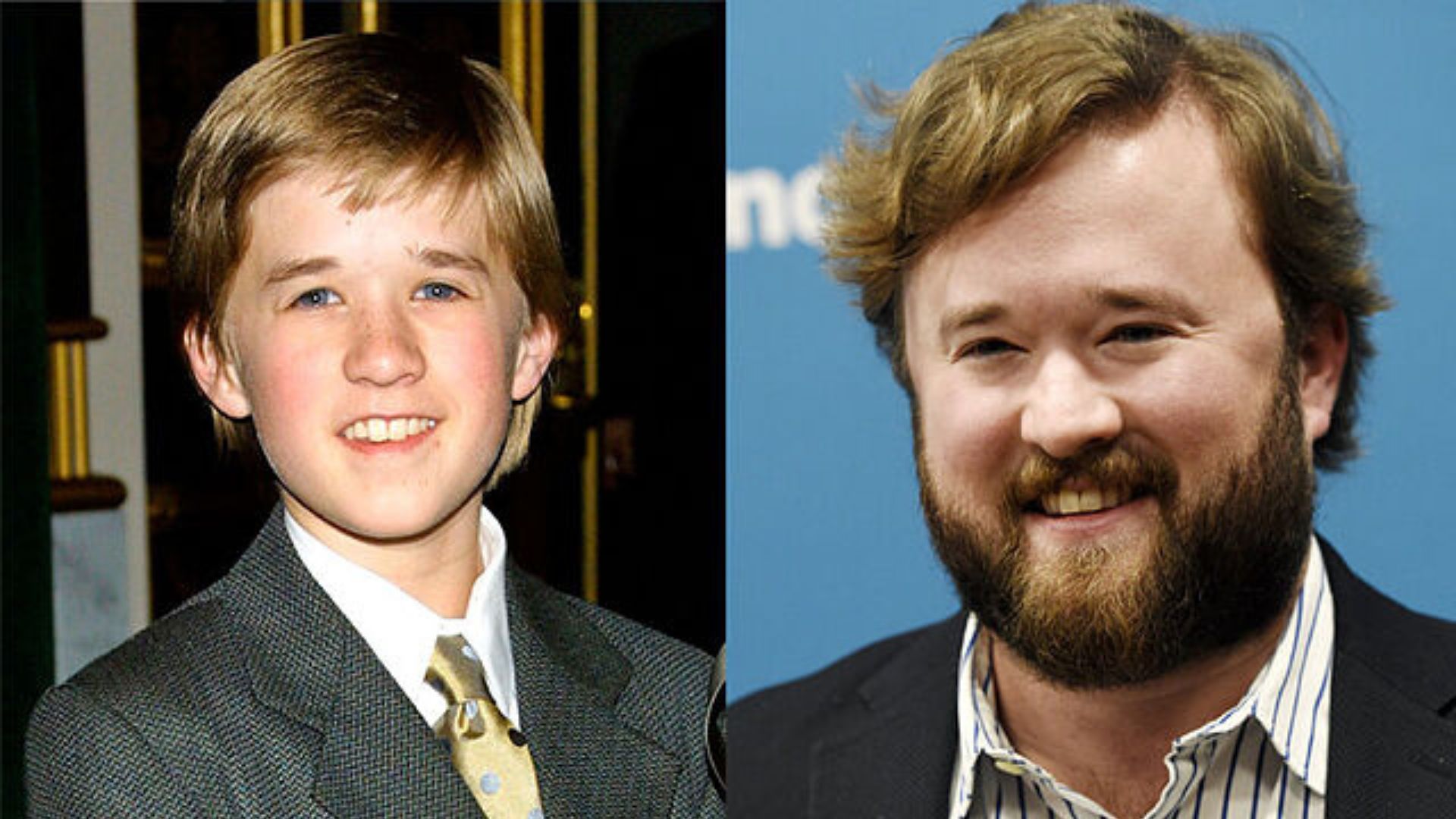 Seriado. Niños estrellas: Haley Joel Osment - Mundo UR - Un mundo de ...