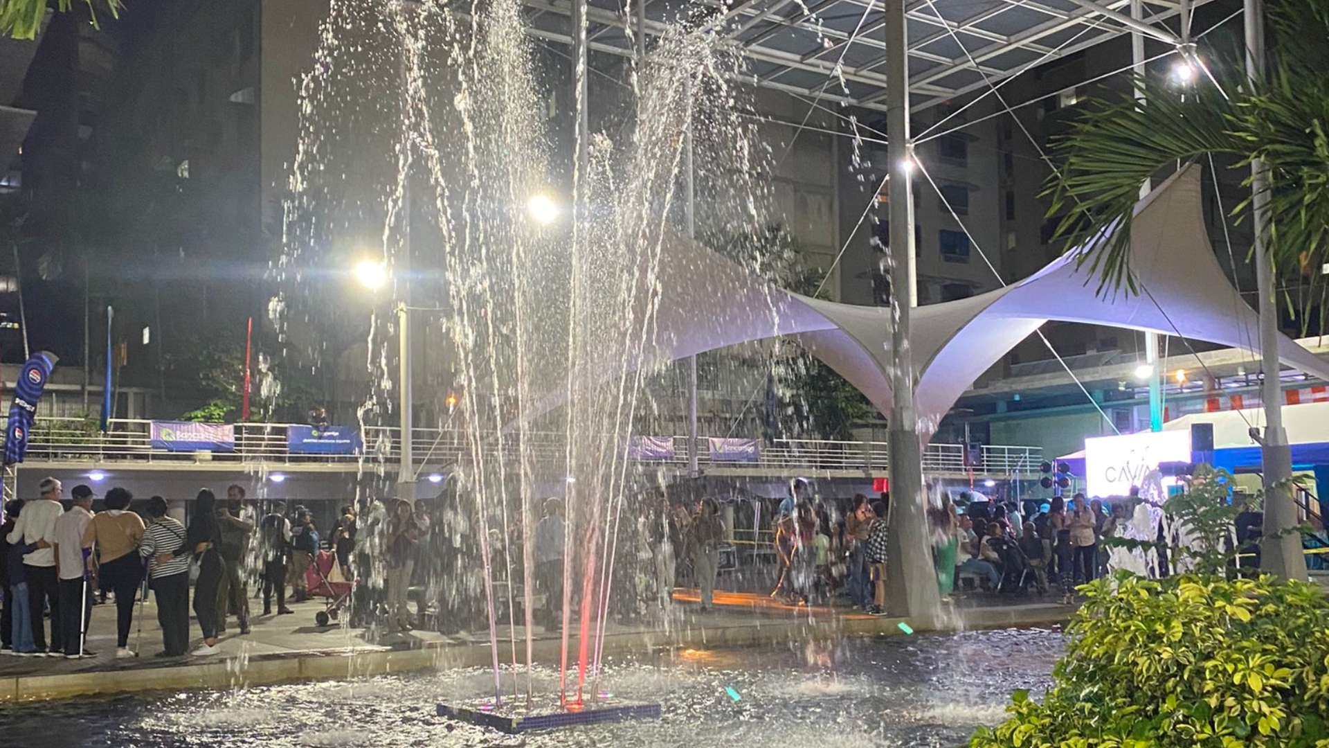 Así reseñaron en redes sociales el aniversario de Los Palos Grandes del ...