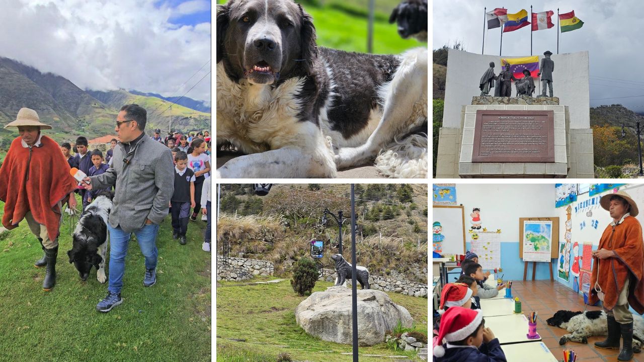 «Nevado va a la escuela», el programa educativo para proteger a los ...