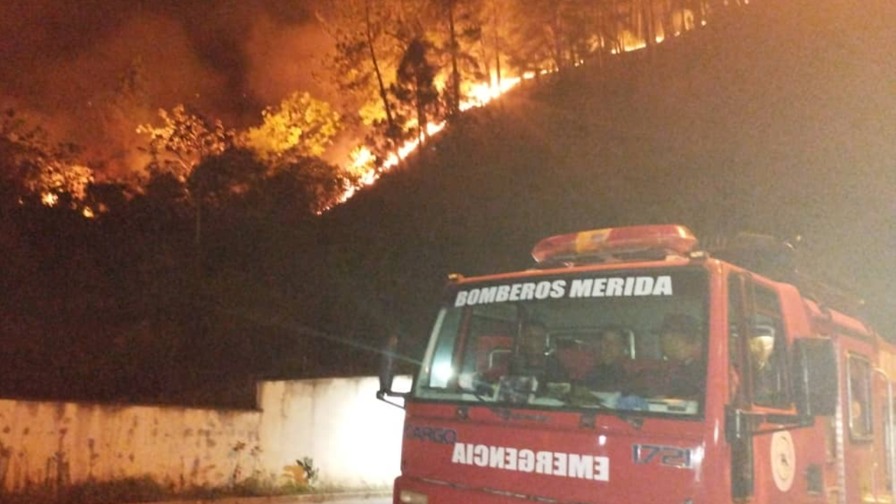 Mérida contabiliza más de 40 incendios en lo que va de enero de 2025